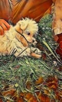 POIUJH's Profile | Deca Art - Deca