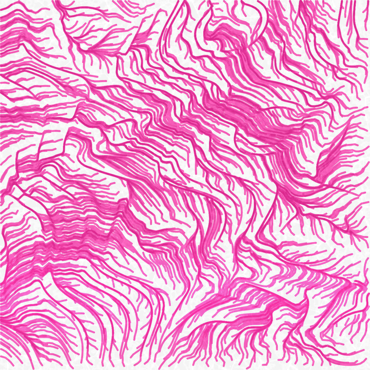 aotearoan / generative-collection - Deca